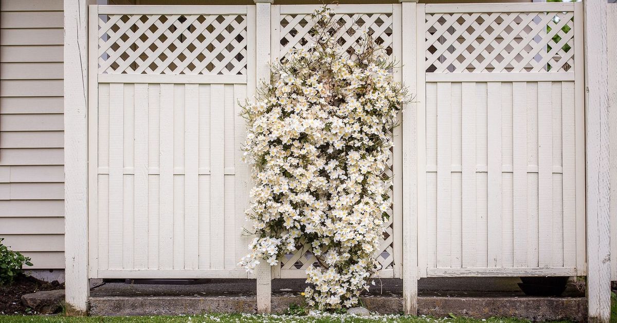 Fence Company in Plano, TX | Titan Fence